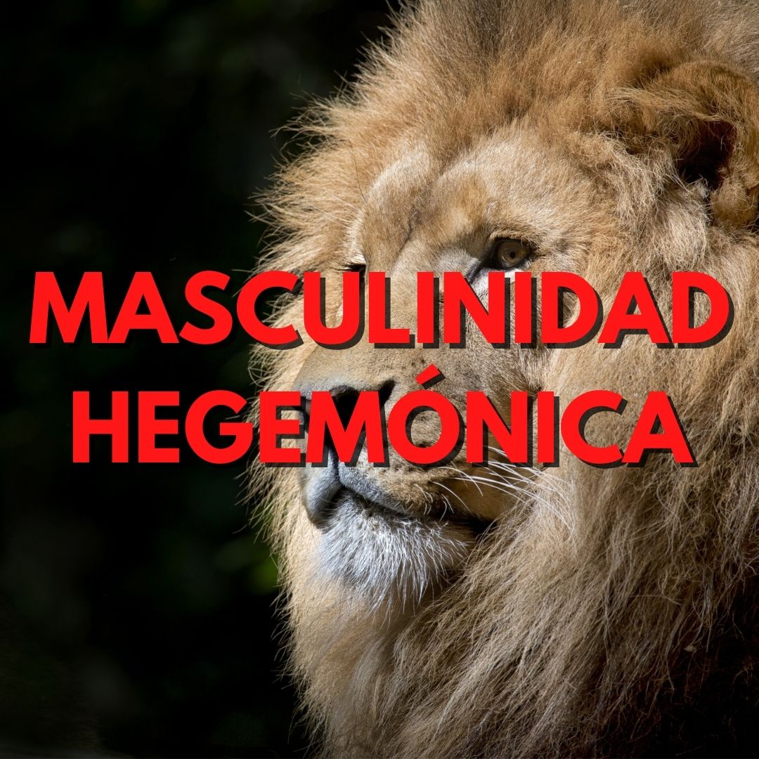 ¿Qué Es La Masculinidad Hegemónica? – MRQOI